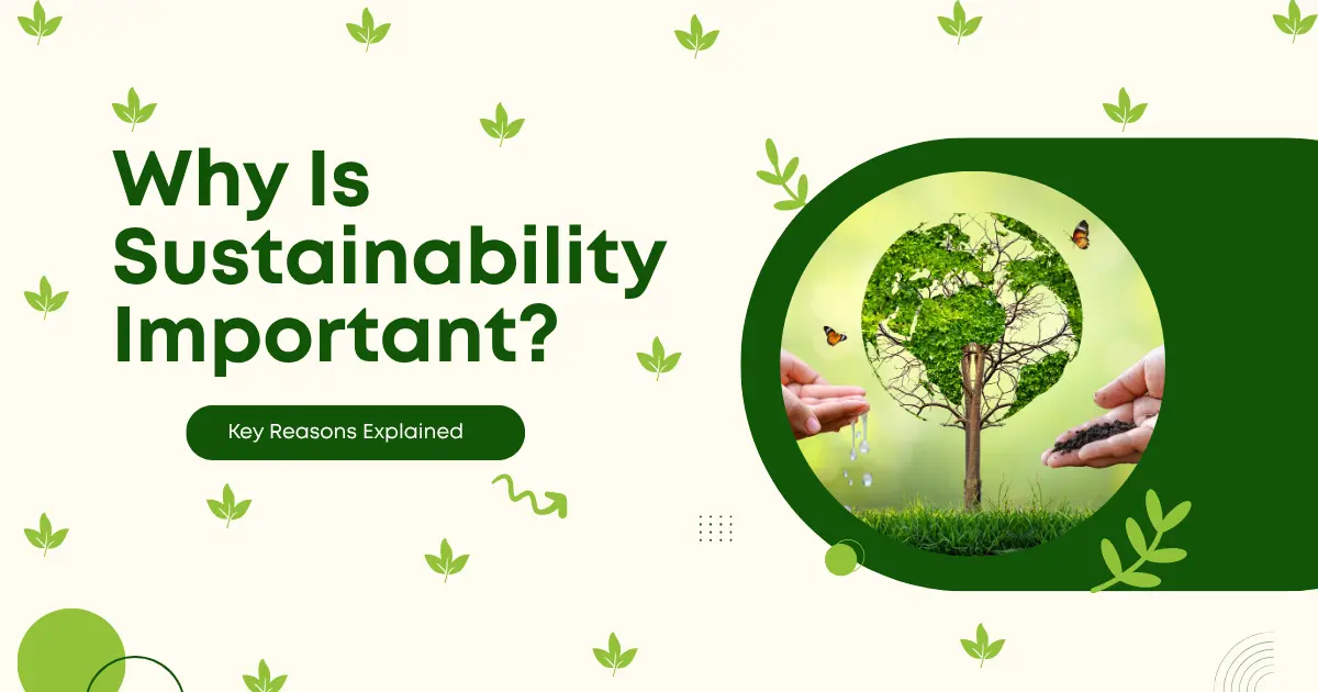 Why Is Sustainability Important? | Key Reasons Explained